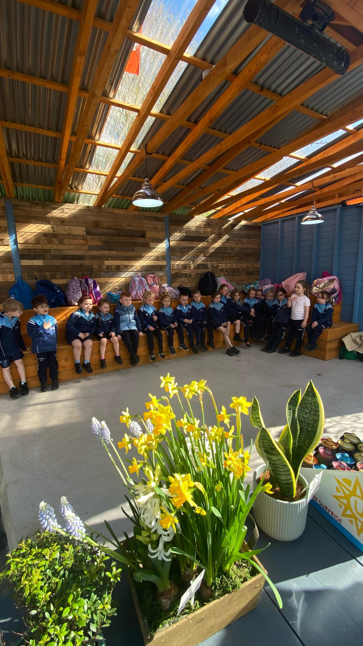 Boyles of Ballyseedy Home - Boyles of Ballyseedy